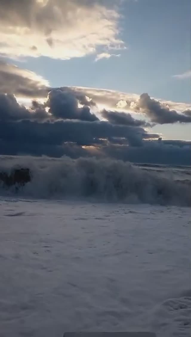 Весточка из Сочи.