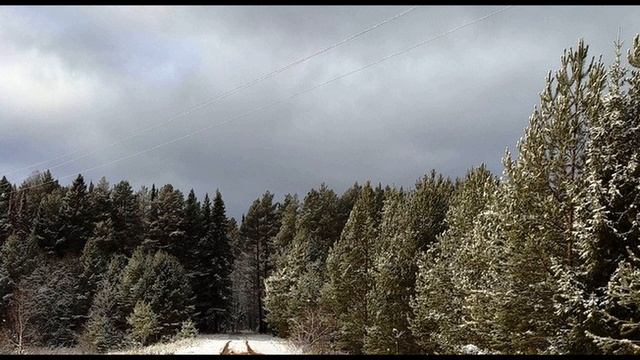 А Толстой  Государь ты наш батюшка #гражданскаялирика #поэты19века