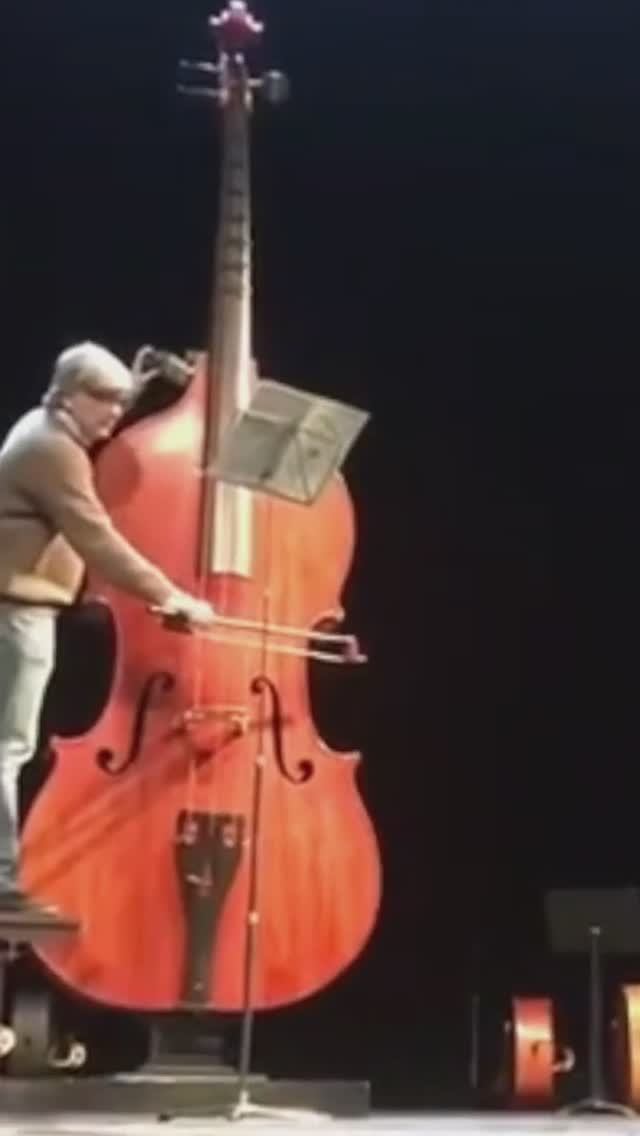 Самый крупный контрабас в мире!