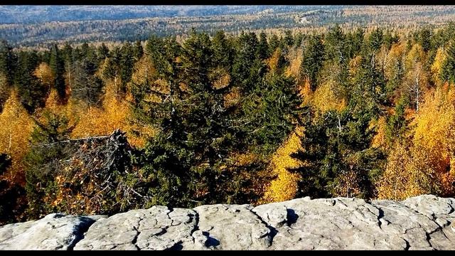 А  Пушкин  Уж небо осенью дышало  #стихиобосени #поэты19века
