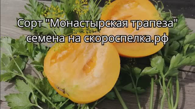 Жёлтый зернистый сорт томата "Монастырская трапеза" отлично вызревает под открытым небом Семена тут