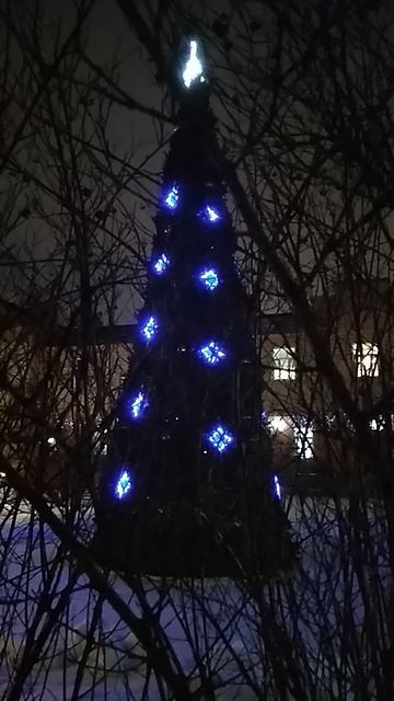 Елки Петербурга.