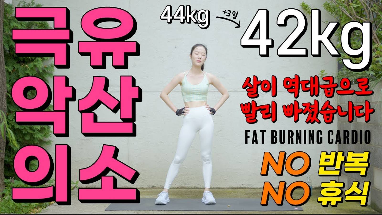 Afit - Тяжелая кардиотренировка / Сбросить 2 кг за 3 дня (БЕЗ повторений, без отдыха)