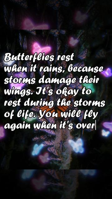 Butterflies rest