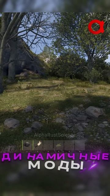 Комфортные кони в РАСТ