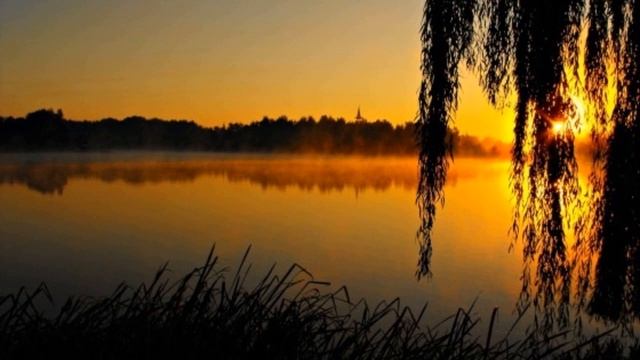 А  Фет  Летний вечер тих и ясен…#стихиолете #стихиоприроде #поэты19века