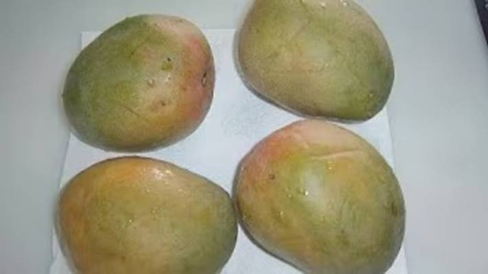 Сорбет из манго. Маринкины творинки