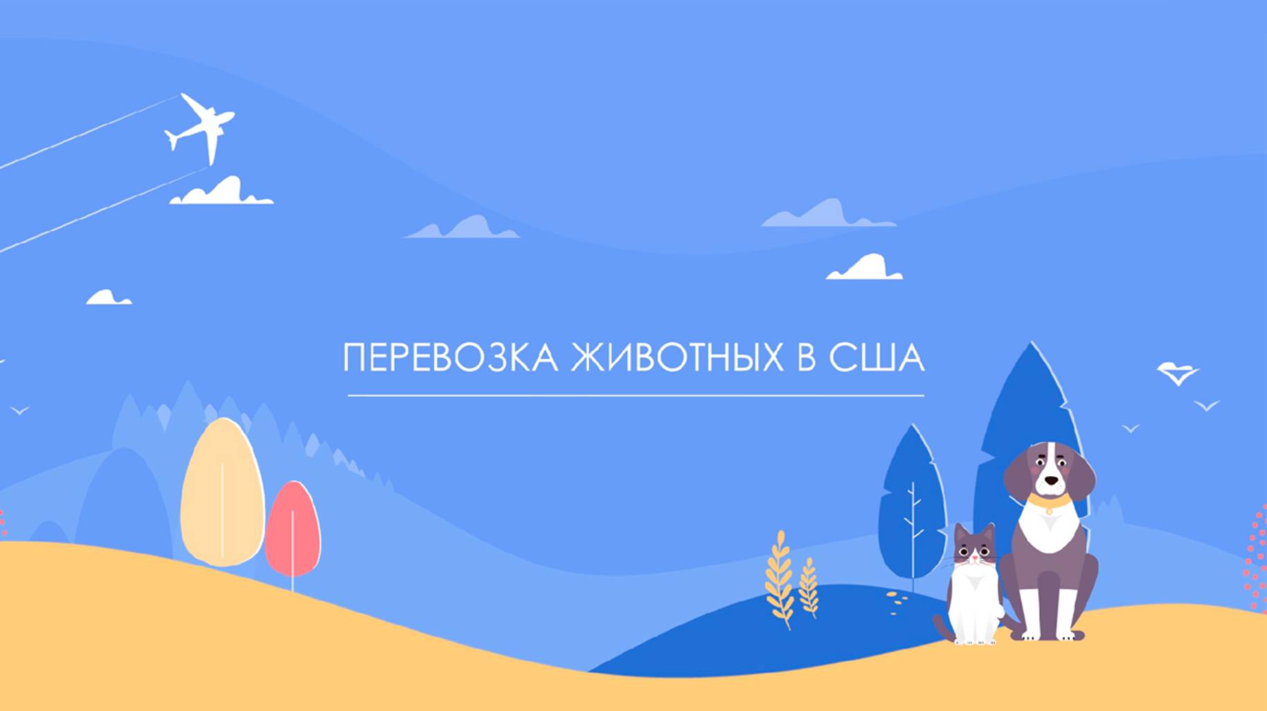 Перевозка животных в США