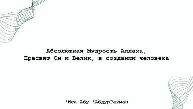 Абсолютная Мудрость Аллаха, Пресвят Он и Велик, в создании человека | Шейх Иса Абу абд ар-Рахман