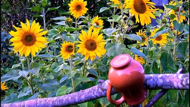 Леся Украинка  Разбитая чарка #украинскаялирика #стихиолюбви