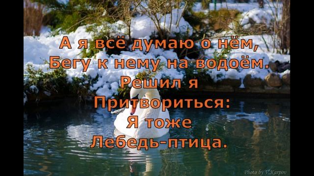 А  Барто  Лебединое горе  #поэты20века #стихидетям  #стихиоживотных