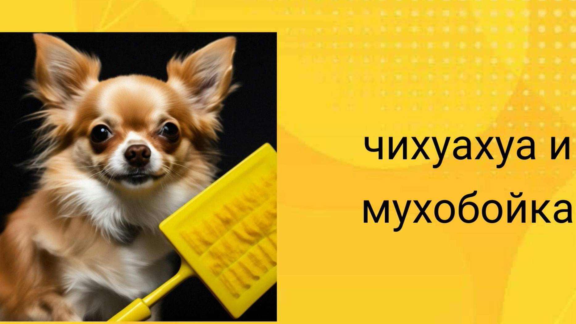 чихуахуа и мухобойка