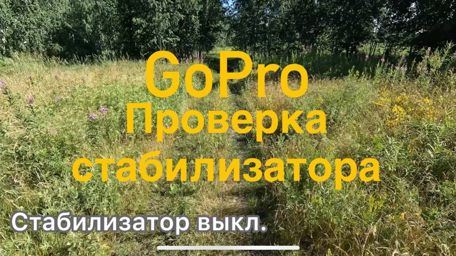 Испытание стабилизатора gopro