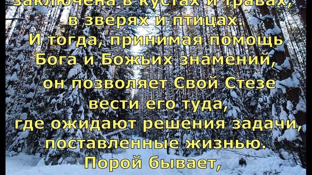 П Коэльо  О верности своей стезе  Притча 16   Книга воина света #философскаяпроза#притчи
