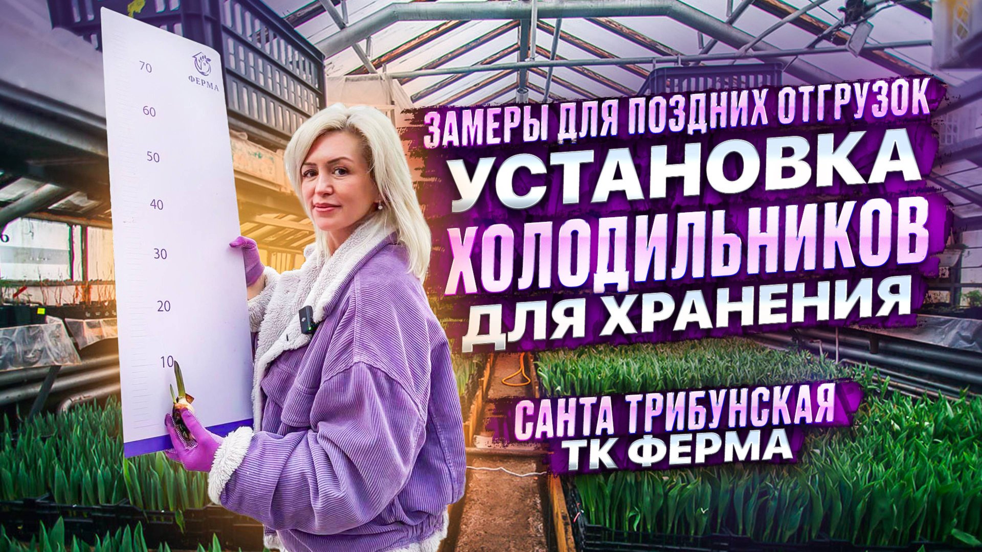 ВТОРЫЕ ЗАМЕРЫ ДЛЯ ПОЗДНИХ ОТГРУЗОК