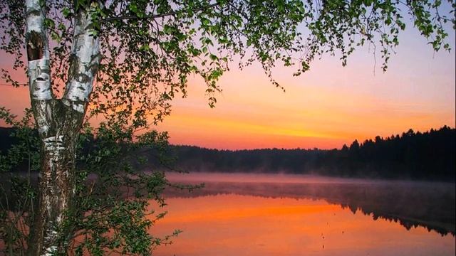 А  Фет Певице #стихиолюбви #поэты19века