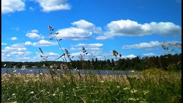 А  К  Толстой  Край ты мой, родимый край  #стихиородине #поэты19века