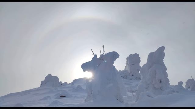 Лариса Миллер  Он был студентом, театр любил и книжки #стихиовойне #современнаяпоэзия