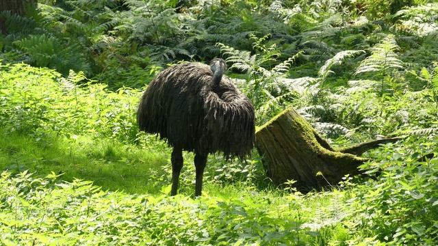 12177059_3840_2160_25fps