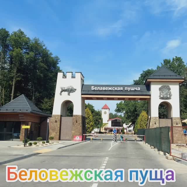 Беловежская пуща.mp4