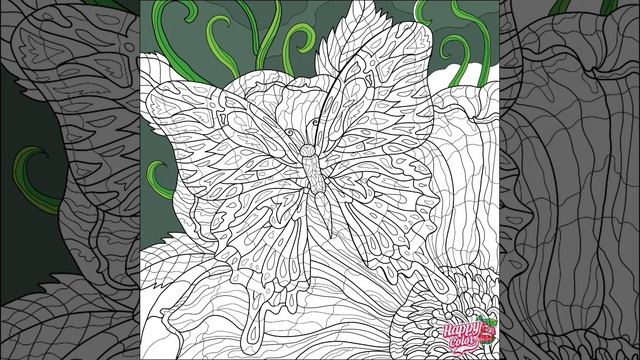 Бвбочки 451-460