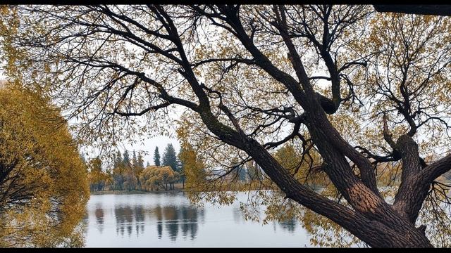 Р Гамзатов  Я вновь пришел сюда и сам не верю   Восьмистишья#аварскиепоэты#стихиодетстве#поэты20века