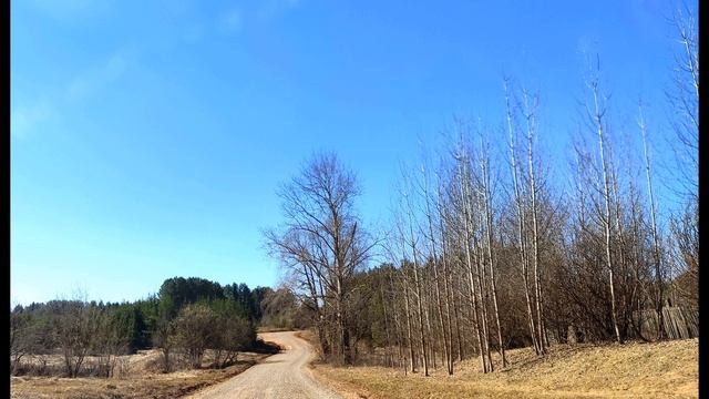 А  Вознесенский  Ты меня не оставляй #стихиородине #поэты20века