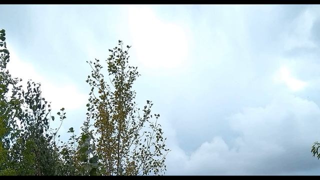 Иеромонах Роман  Как ни живи, а Бога не гневи #философскаялирика #современнаяпоэзия