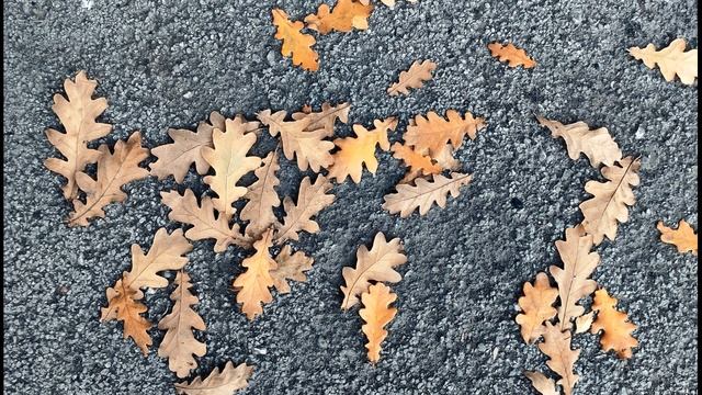 А  Пушкин  Разговор книгопродавца с поэтом #философскаялирика #поэты19века