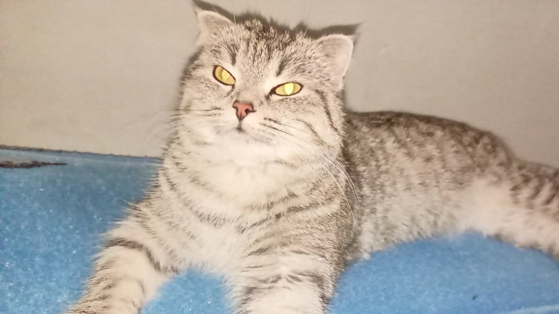 😉Цените себя😉