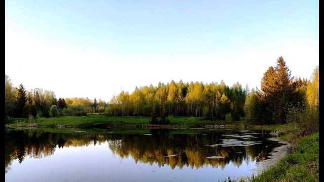 А  Фет  На заре ты ее не буди #стихиолюбви #поэты19века