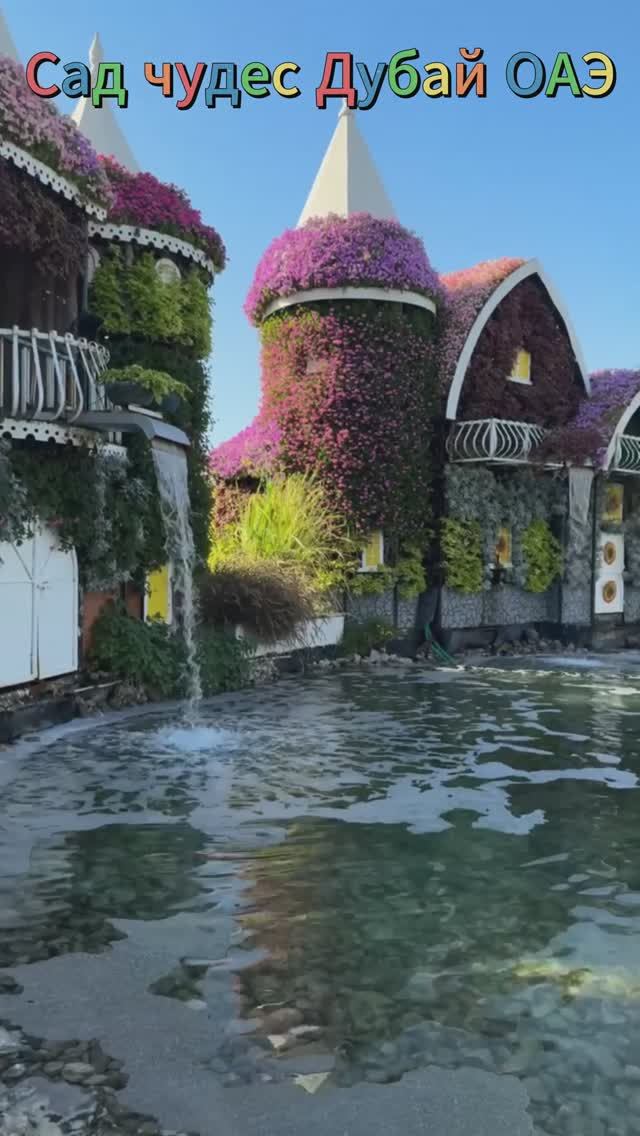 Сад чудес Дубай ОАЭ
