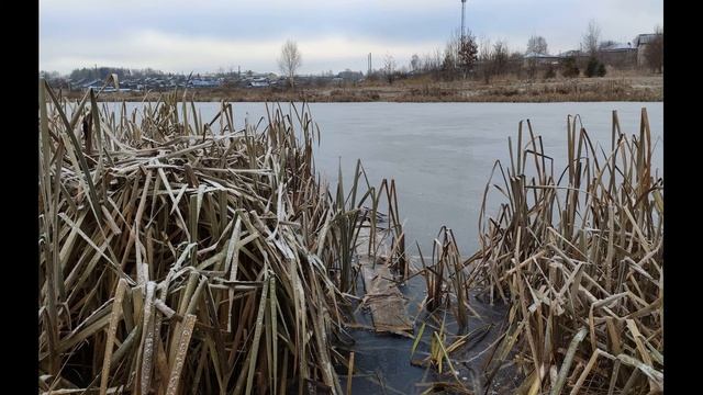 В Полозкова  Усталая серость разлита по свежим холстам #стихиолюбви #современнаяпоэзия #оразлуке