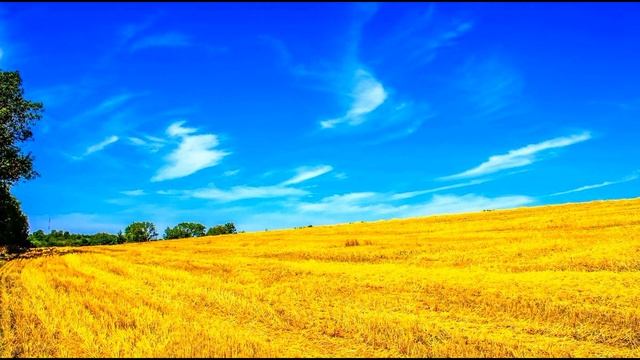 Тарас Шевченко  Дума #украинскаялирика #стихиородине #философскаялирика