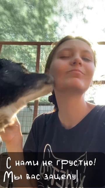Территория добра и дружбы "Ковчег" 🤗🐾🐾💖