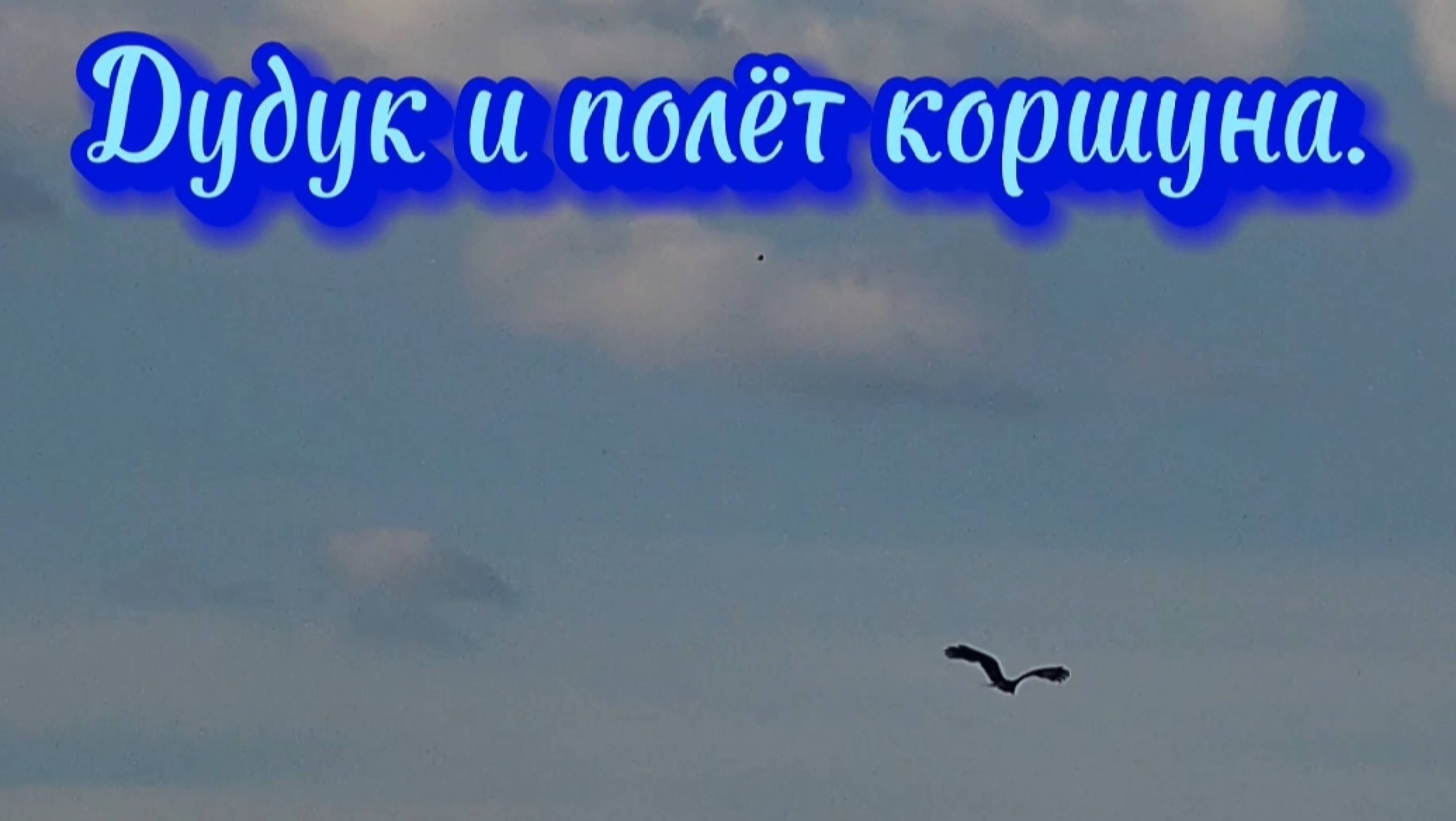 Дудук и полет коршуна.