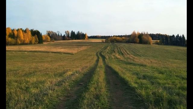 М Лермонтов  Родина #гражданскаялирика #поэты19века #стихиоРоссии#стихиородине