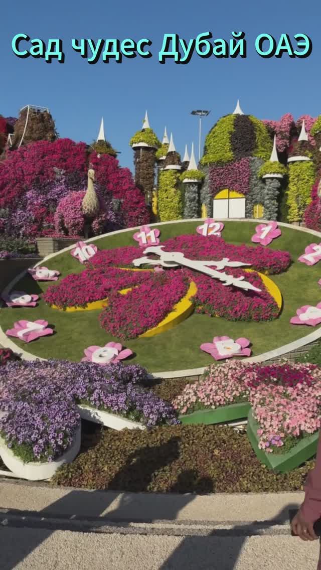 Сад чудес Дубай ОАЭ