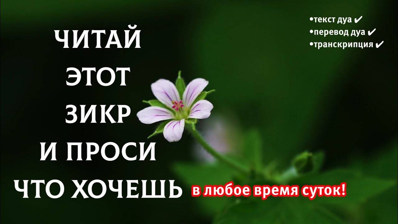 ЧИТАЙ ЭТОТ ЗИКР И ПРОСИ ЧТО ХОЧЕШЬ №12