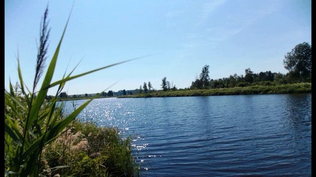 Г  Иванов  Если б время остановить #философскаялирика #поэтысеребряноговека