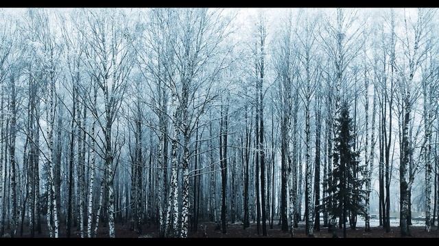 Г  Адамович  Понять  -  простить #стихиопрощении #поэтысеребряноговека