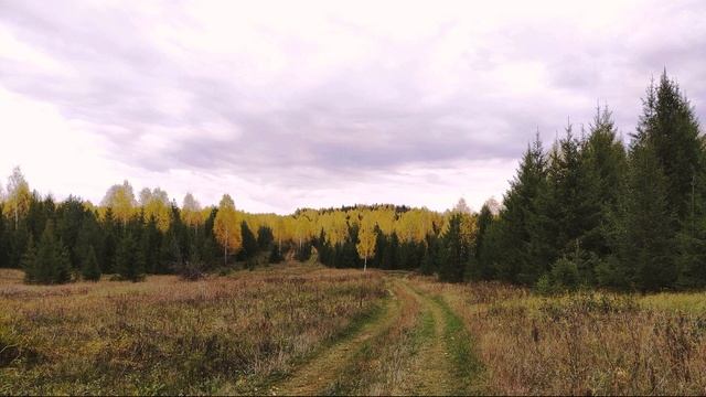 Г  Державин  Признание #гражданскаялирика #поэты18века #поэты19века