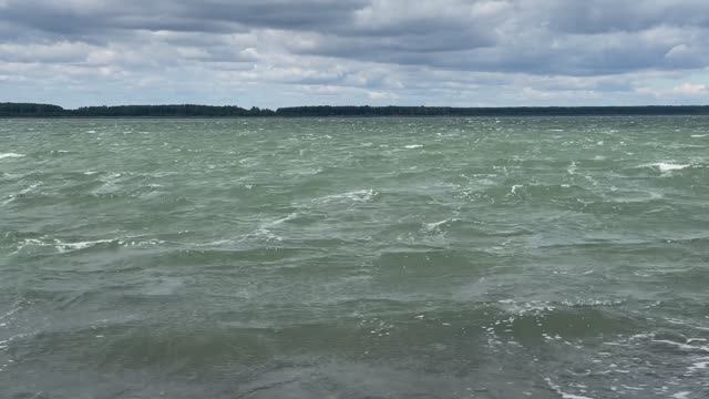 Озеро Курги июль 2023