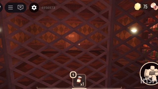 играю в дортс