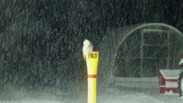 Сова в снегопад 1