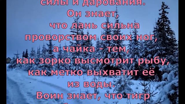 П Коэльо  О вере в свои силы  Притча 19  Книга воина света #философскаяпроза#зарубежнаялитература