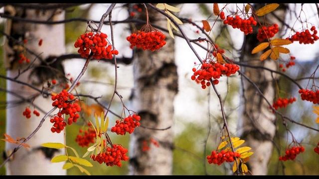 А  Толстой  Осень #стихиобосени #поэты19века
