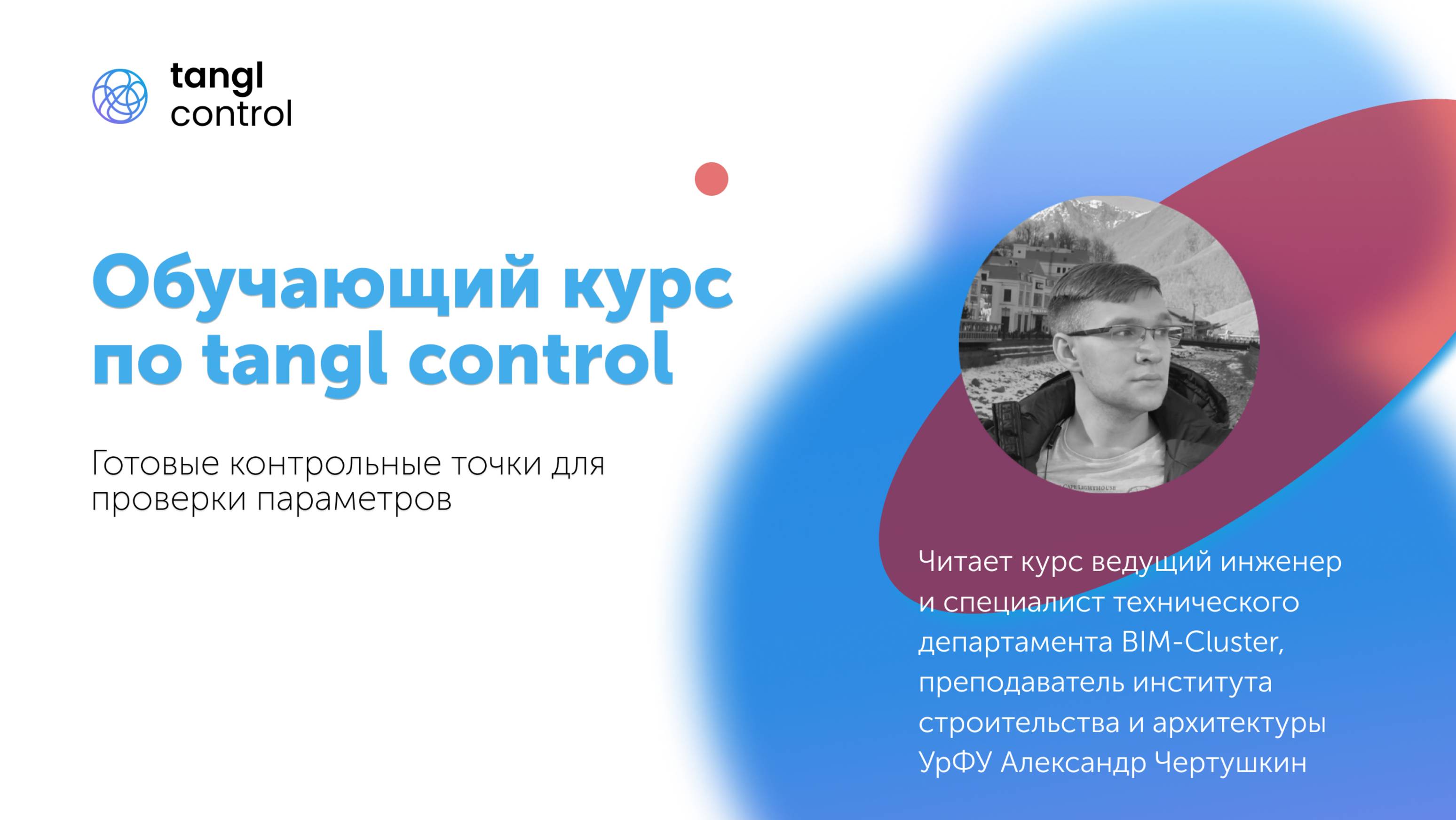 Tangl control: сервис для автоматизации проверки BIM-моделей