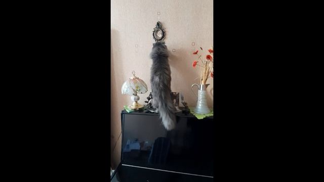 Любительница искусства