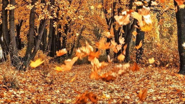 Ф  Тютчев  Листья #стихиобосени #поэты19века